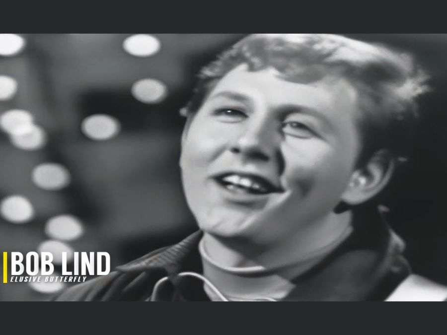 Bob Lind's Musical Journey: From 'Elusive Butterfly' to Folk Icon - Tung