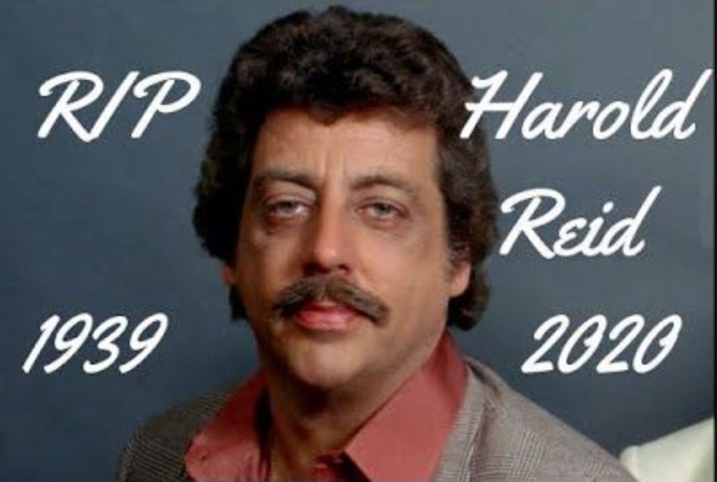 VISITING HAROLD'S GRAVE: Why do fans still travel hundreds of miles to remember him? - Tung